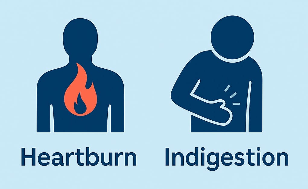 Heartburn & Indigestion: Pharmacist’s Guide to OTC Relief - Pharmacist Tips